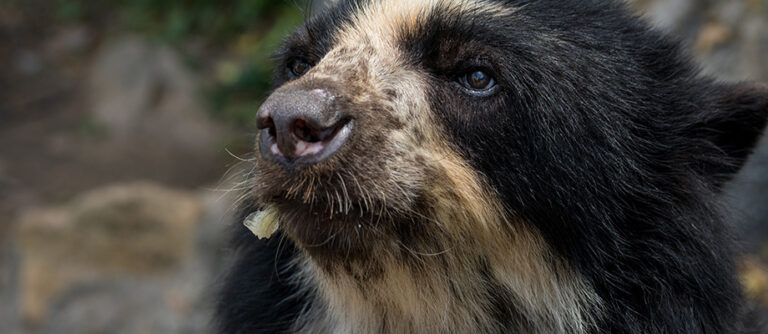 Qué ver en Perú y qué hacer en tu viaje - Blog de Centraldereservas.com